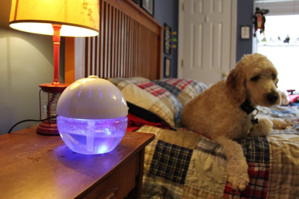 EcoGecko Earth Globe Air Revitalizer, Air Washer, Air Freshener, Room ...